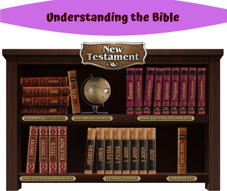 Bible Bookshelf Visual – Deeper KidMin