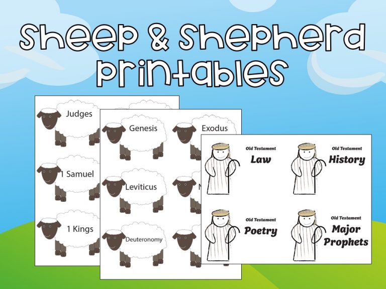 Bible Skills Sheep – Deeper KidMin