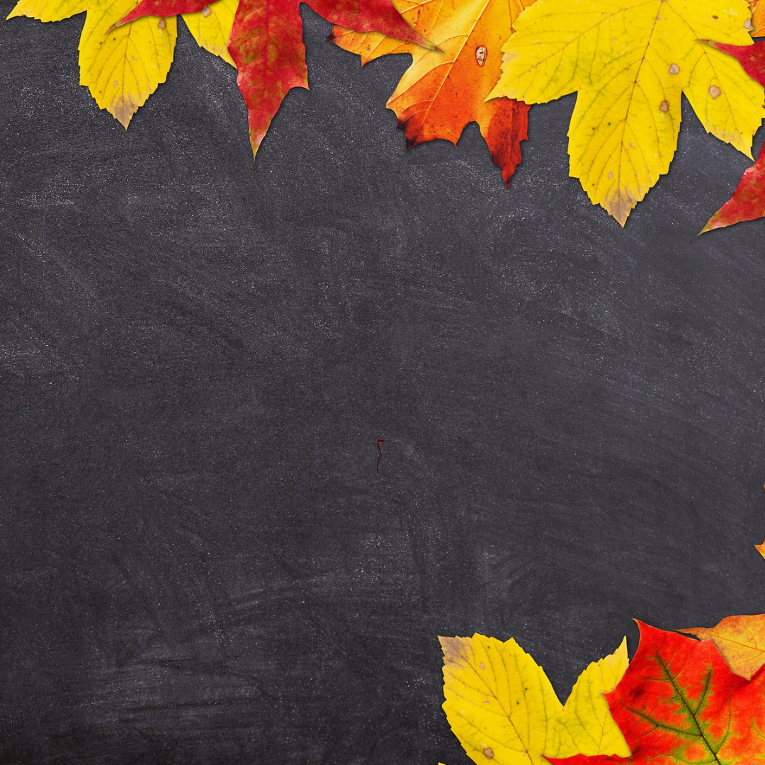 Free Fall Fest Social Media Graphics – Deeper KidMin