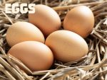 Egg-streme Easter Close Up PPT game – Deeper KidMin