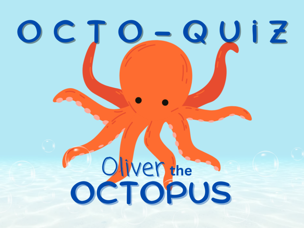 Oliver the Octopus 2-Game Bundle – Deeper KidMin